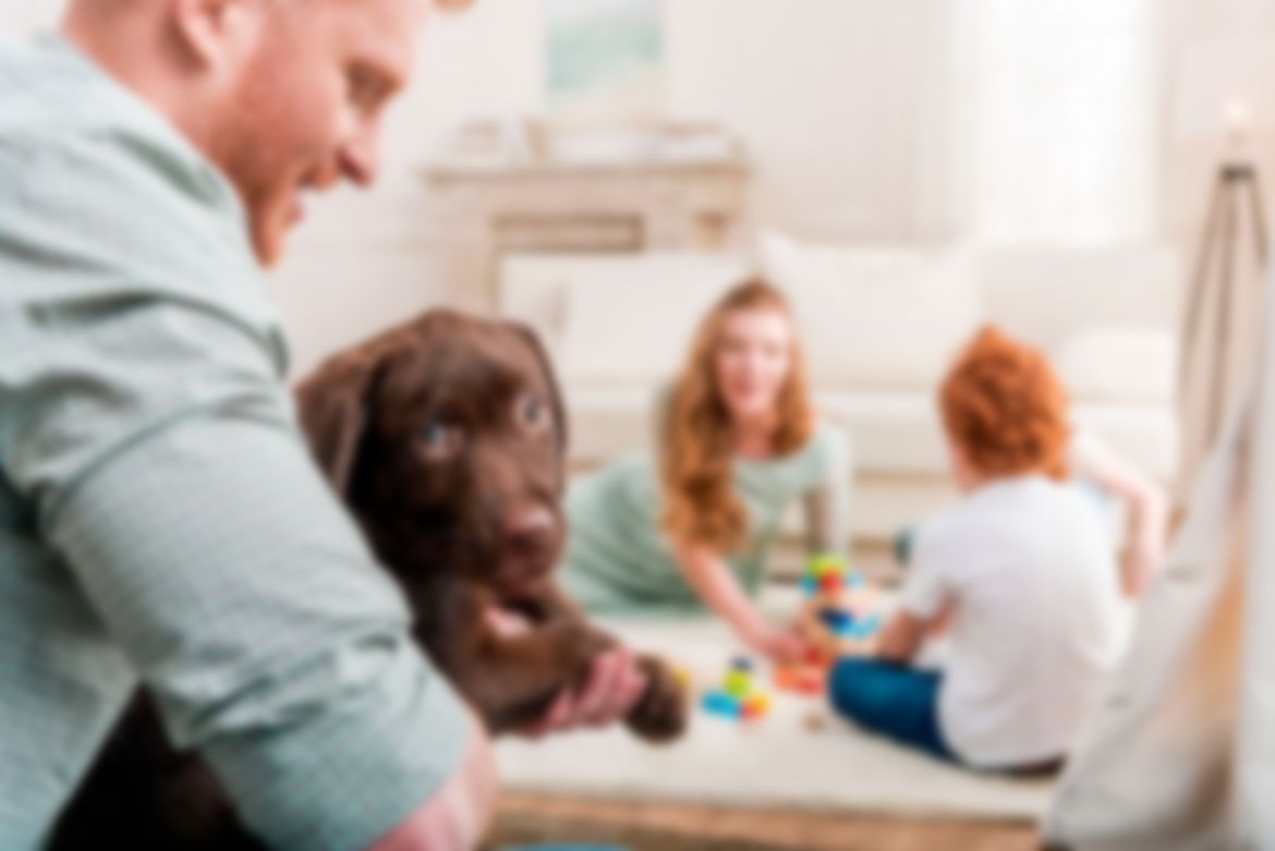 Post With Gallery - Spa 4 Paws - Salon and Mobile Pet Grooming